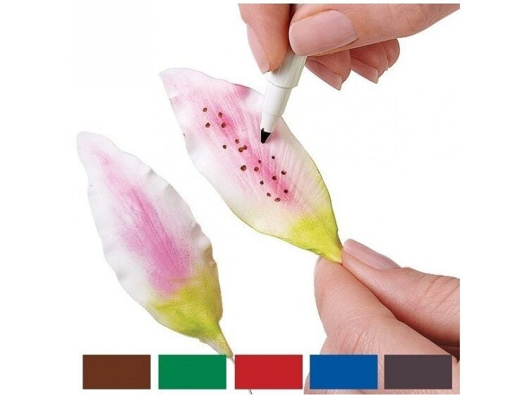WILTON PLUMON COMESTIBLE PAQUETE 5 PZAS COLORES BÁSICOS PUNTA EXTRA FI ...